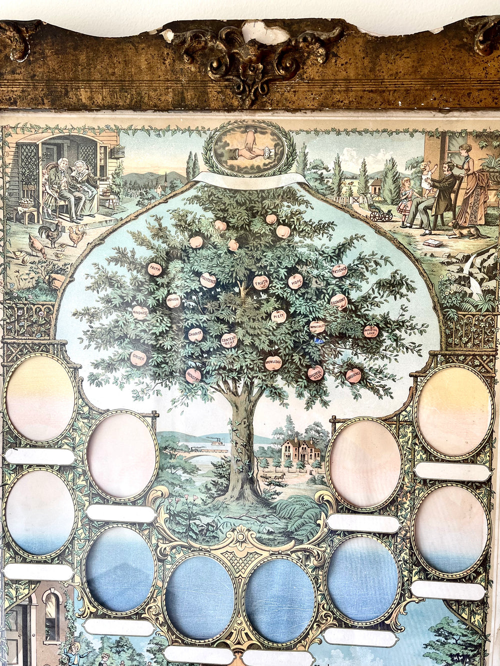 Antique Family Tree in Gilded Frame