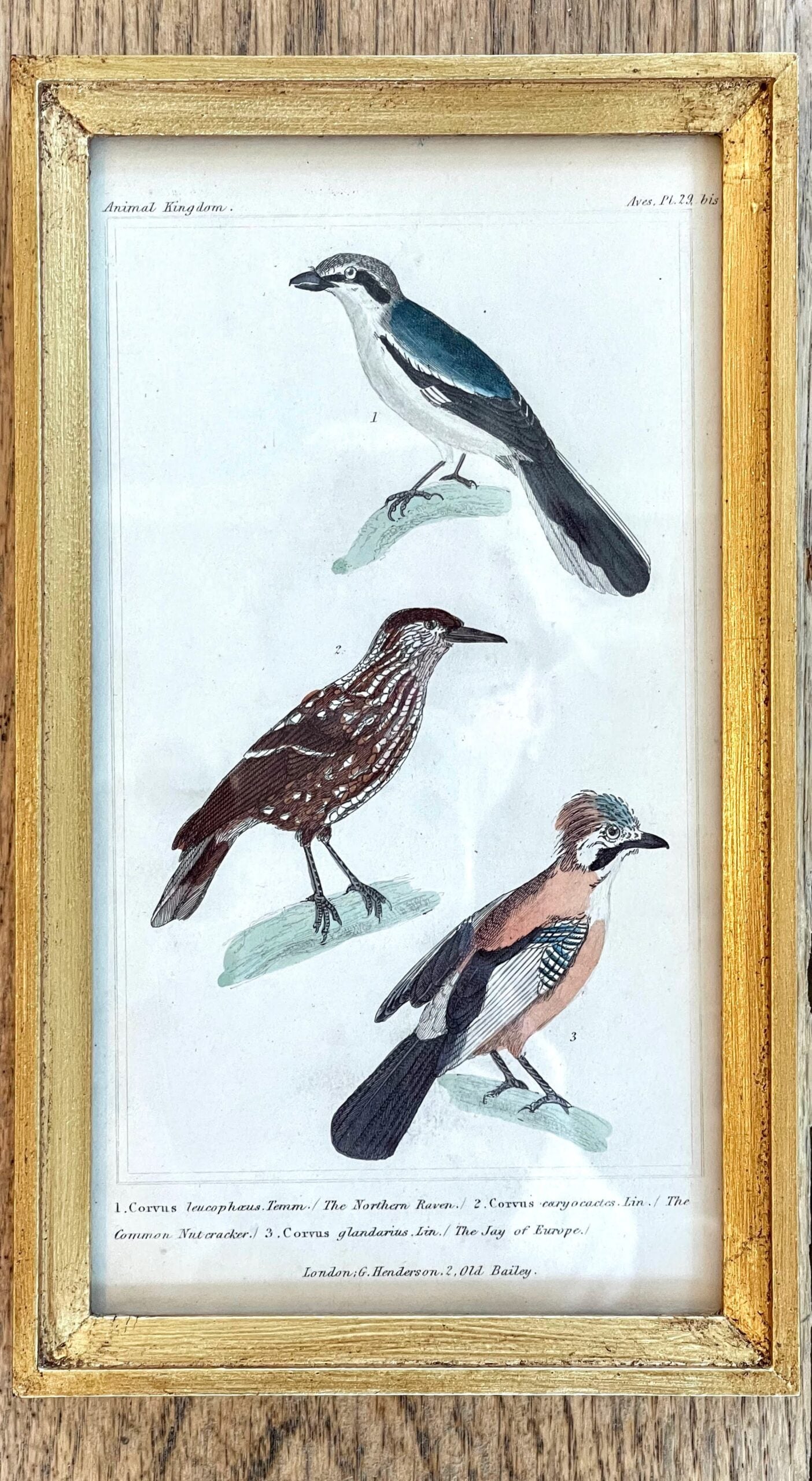 Beautiful Framed Lithograph c 1800s
