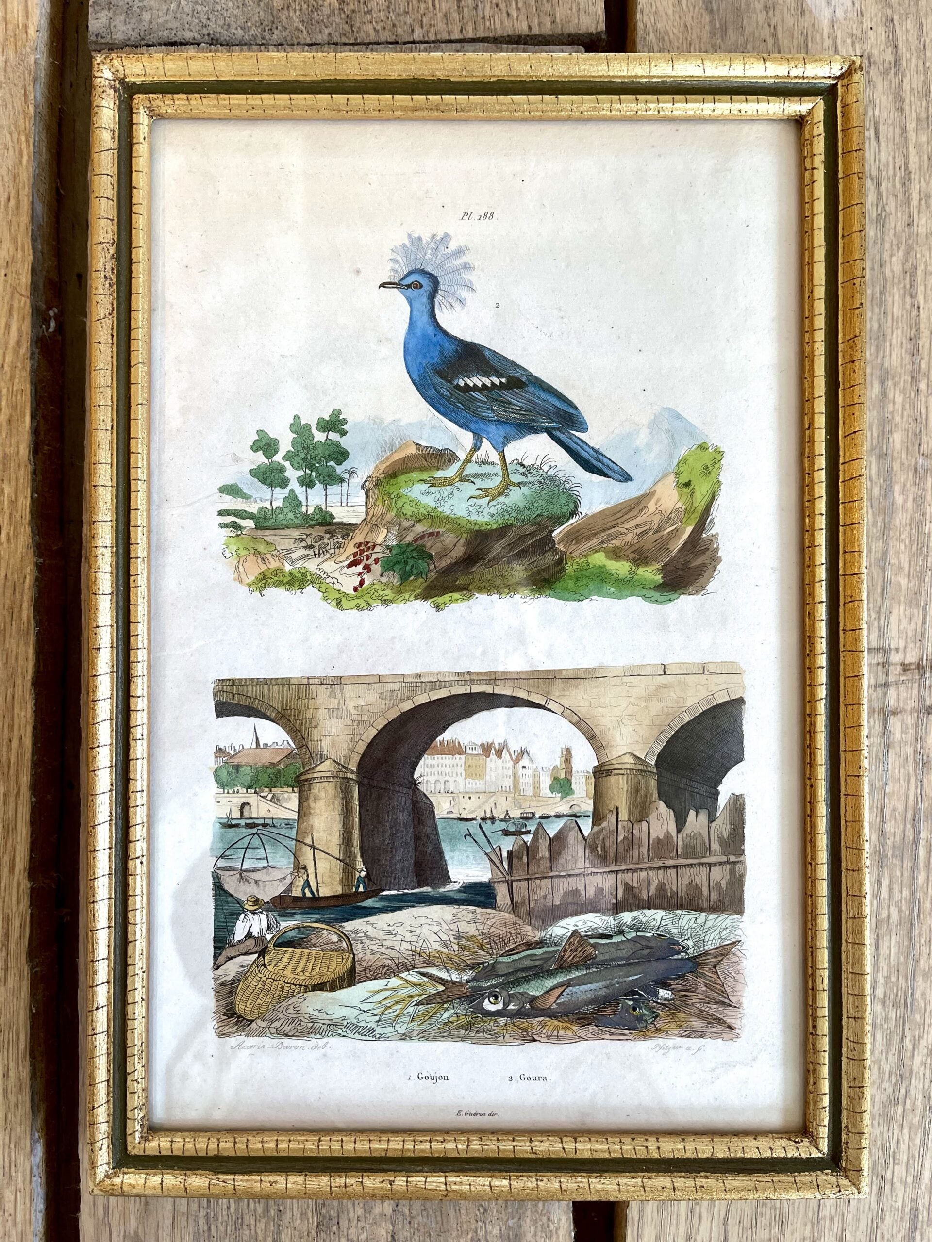 Beautiful Framed Lithograph c 1800s