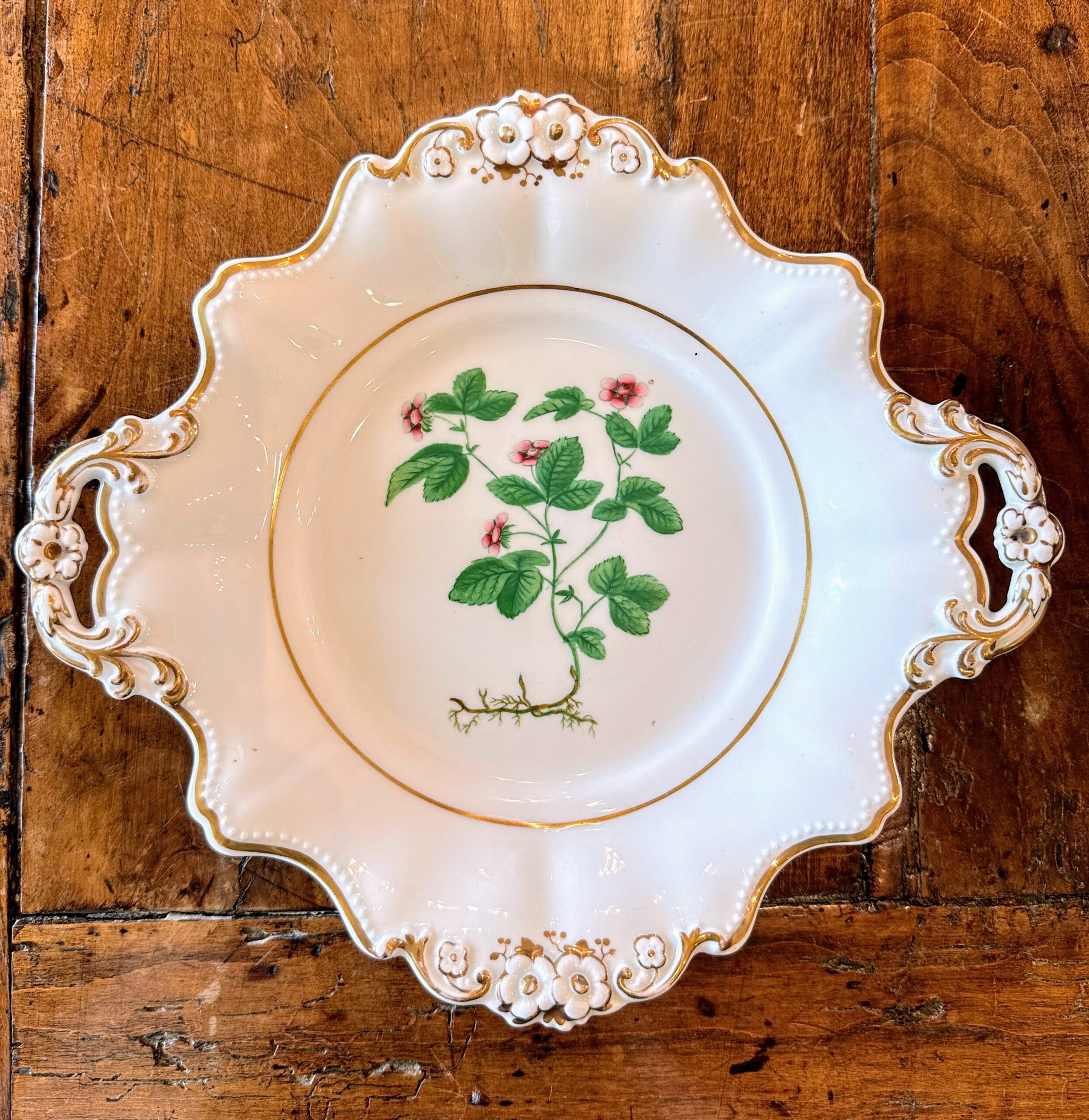 Ridgeway Hand Painted Floral Plate of Dwarf Bramble