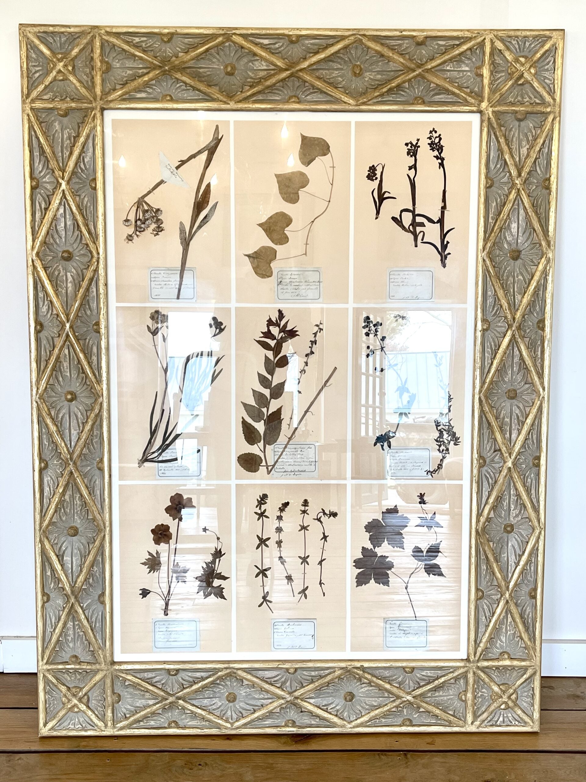 Large Antique Botanical with Handmade Frame